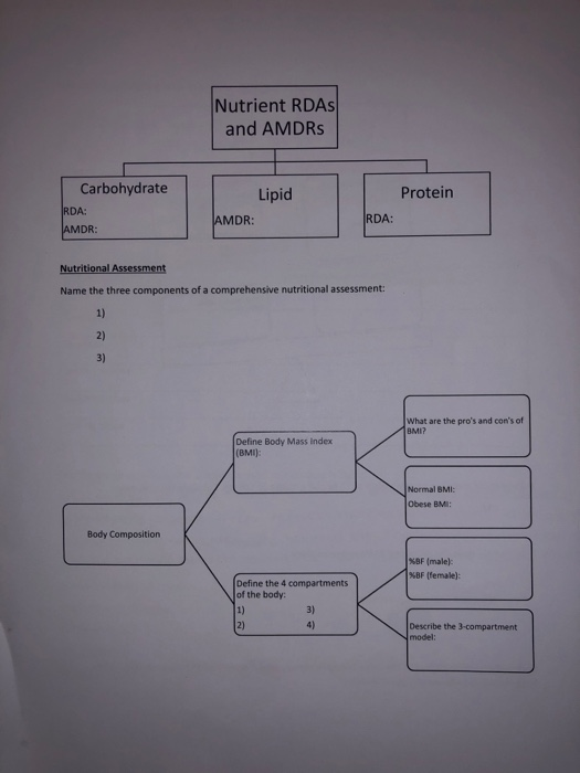 Solved Nutrient RDAS and AMDR Carbohydrate IRDA: Lipid | Chegg.com