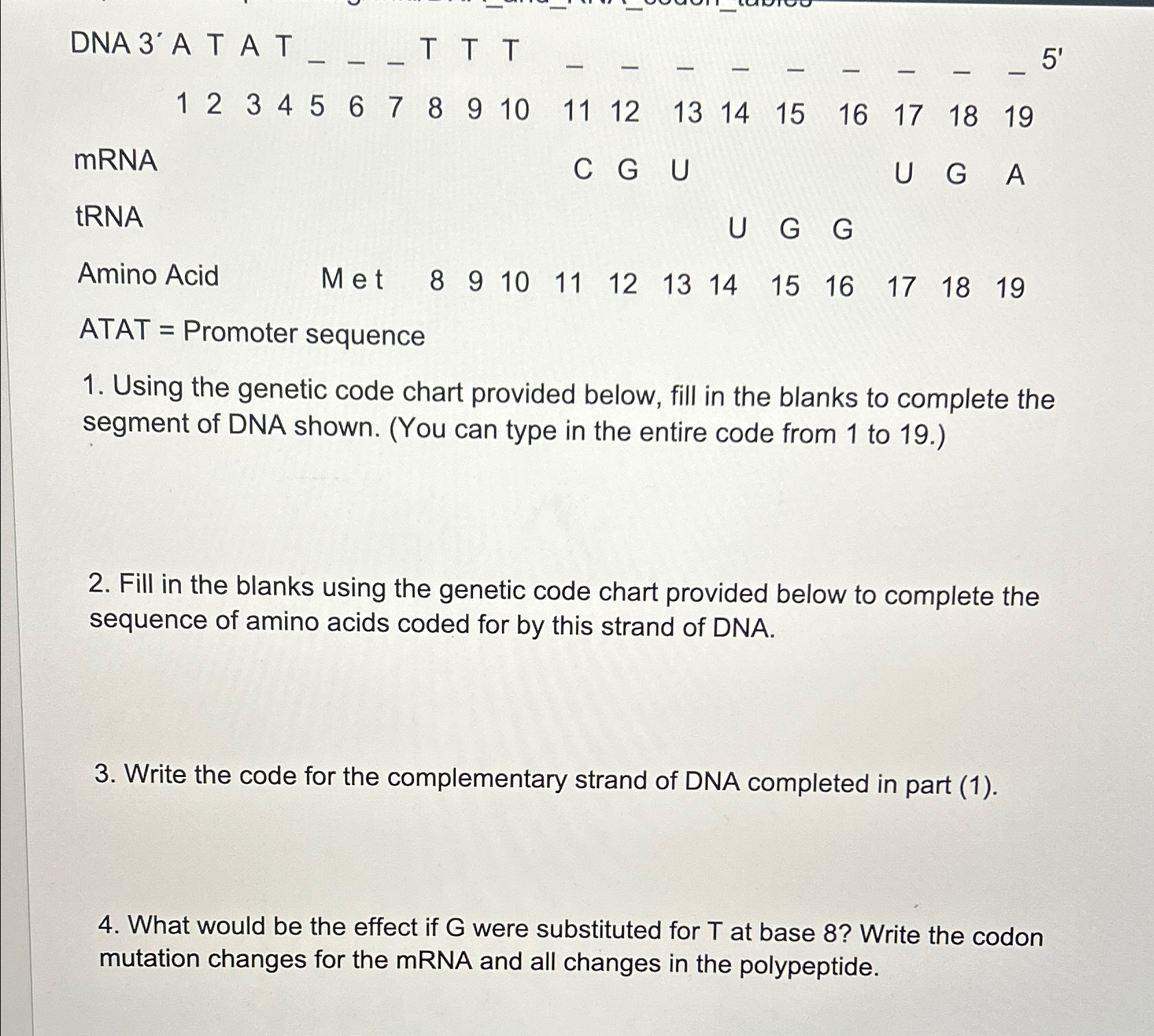 Solved DNA 3' ﻿A T A T D | Chegg.com
