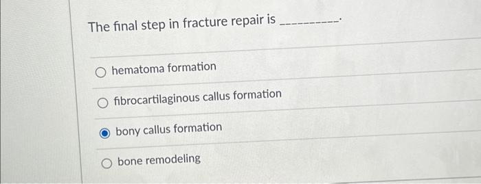 Solved The final step in fracture repair is O hematoma | Chegg.com