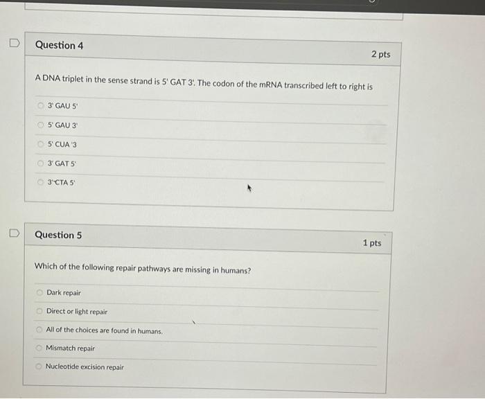 Solved ADNA triplet in the sense strand is 5′ GAT 3: The | Chegg.com