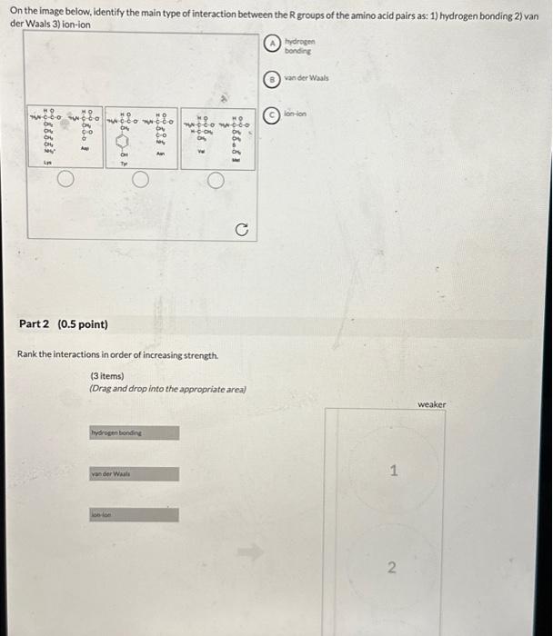 Solved On the image below, identify the main type of | Chegg.com