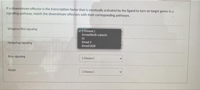 Solved If a downstream effector is the transcription factor | Chegg.com