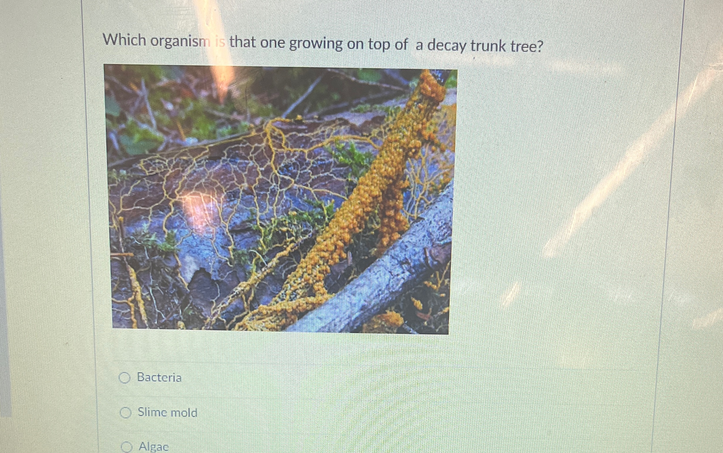 Solved Which organism is that one growing on top of a decay | Chegg.com