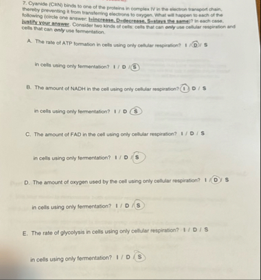 Solved Cyanide (CtN) ﻿binds to one of the proteins in | Chegg.com