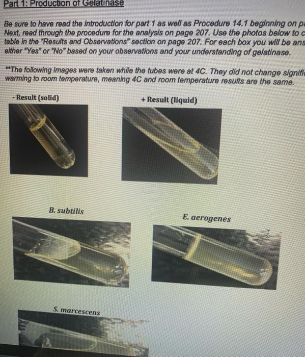 Solved EXERCISE 14 Analysis Day 2 Part 1: Production of | Chegg.com