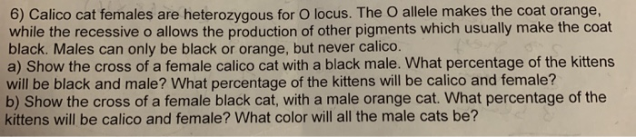 Solved 6) Calico cat females are heterozygous for O locus. | Chegg.com