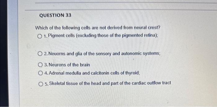 Solved Which of the following cells are not derived from | Chegg.com