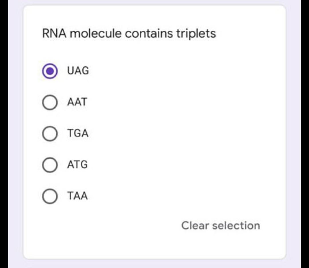 Solved RNA molecule contains triplets UAG AAT TGA ATG TAA | Chegg.com