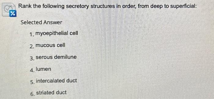 Solved Rank the following secretory structures in order, | Chegg.com