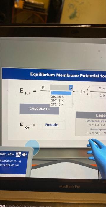 Solved Equilibrium Membrane Potential for K+EK+=293.15 | Chegg.com