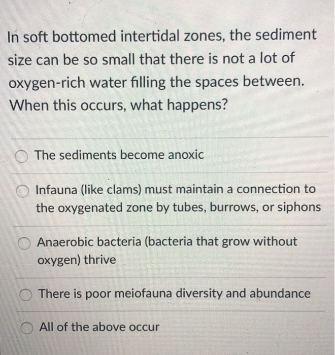 Solved In soft bottomed intertidal zones, the sediment size | Chegg.com