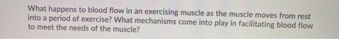 Solved What happens to blood flow in an exercising muscle as | Chegg.com