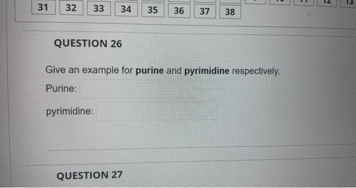 Solved Give an example for purine and pyrimidine | Chegg.com