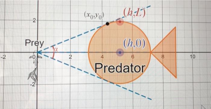 Solved The Zebra Danio and a Looming Predator Visual angles | Chegg.com