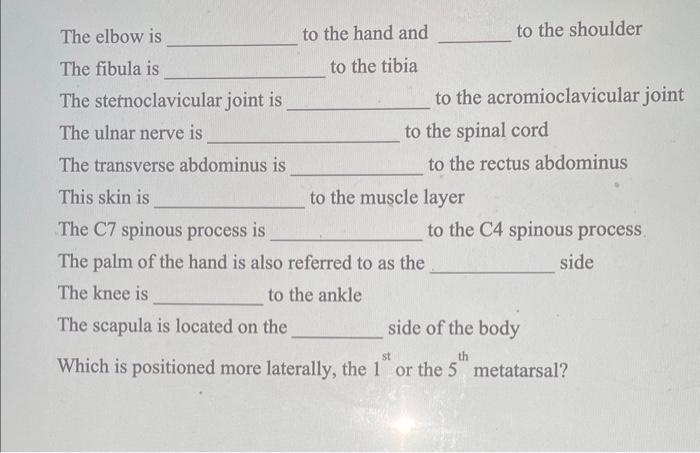 Solved The elbow is to the hand and to the shoulder The | Chegg.com