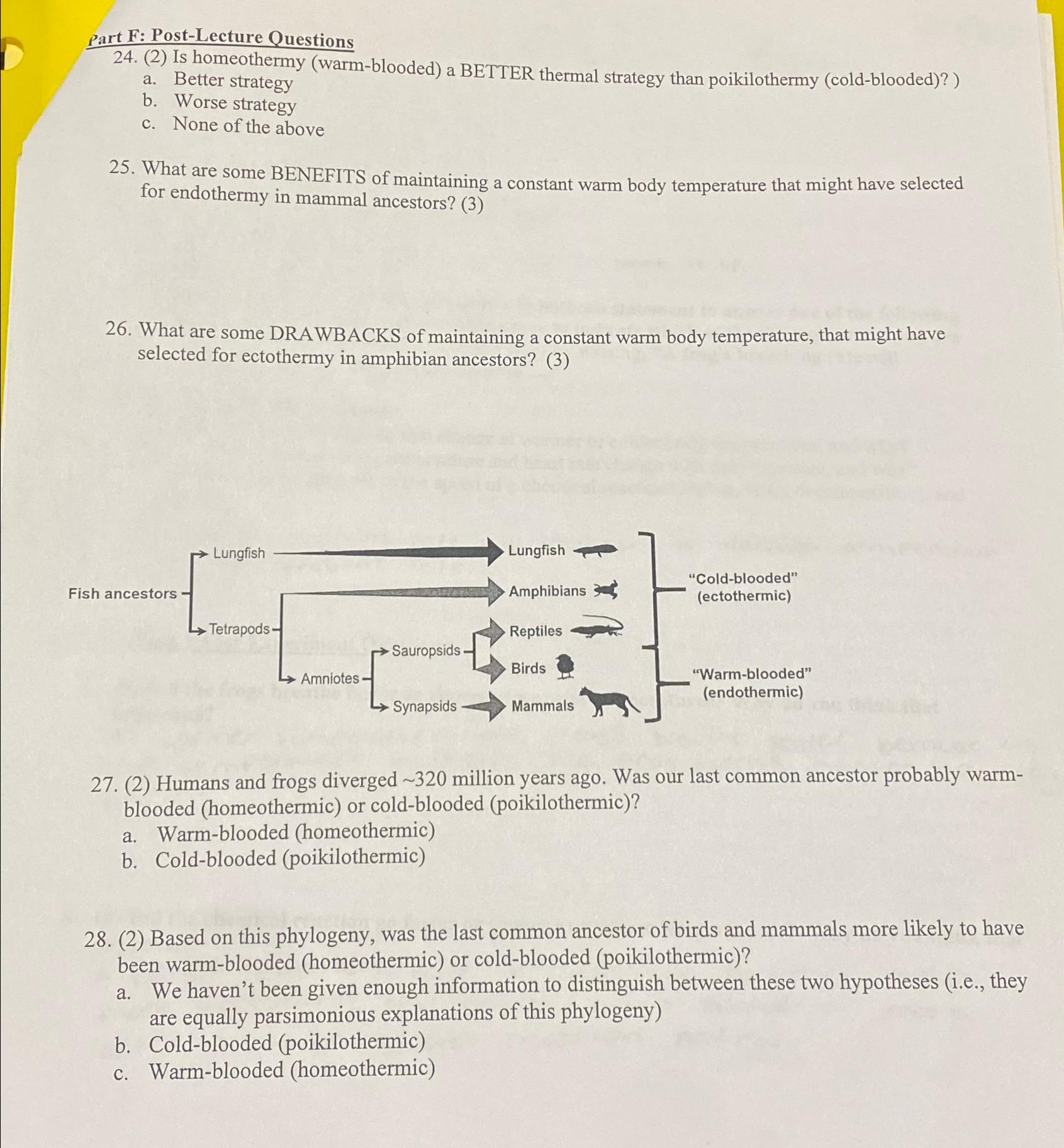Solved Part F: Post-Lecture Questions24. (2) ﻿Is homeothermy | Chegg.com