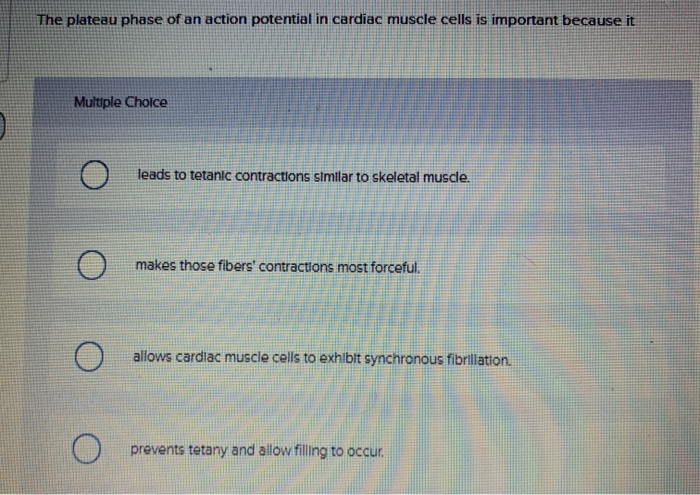 Solved The plateau phase of an action potential in cardiac | Chegg.com