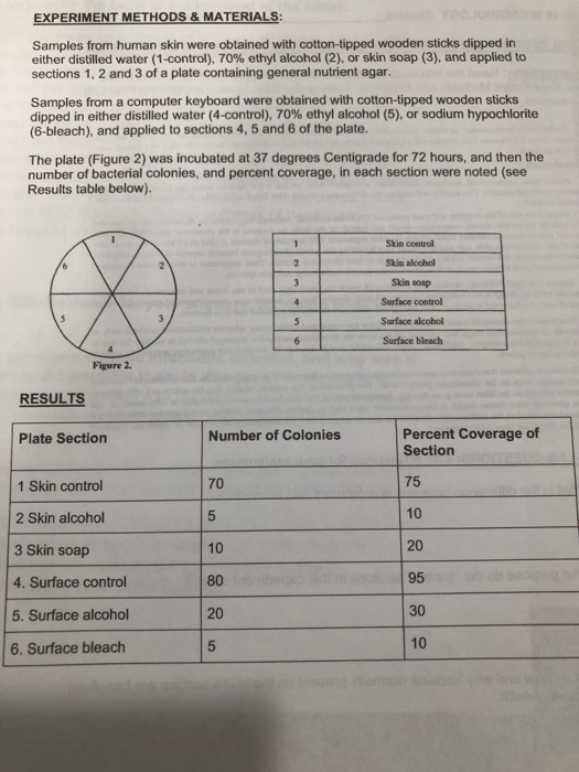 Solved Microbiology Laboratory Report POST-LAB QUESTIONS: 1. | Chegg.com