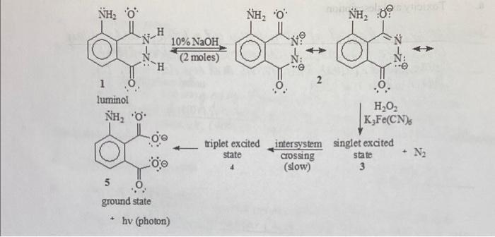 Solved 1. Draw the structures of the two other important | Chegg.com