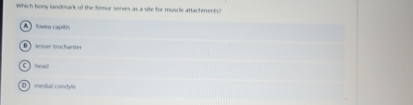 Solved Which bomy landmark of the femur serves as a site for | Chegg.com