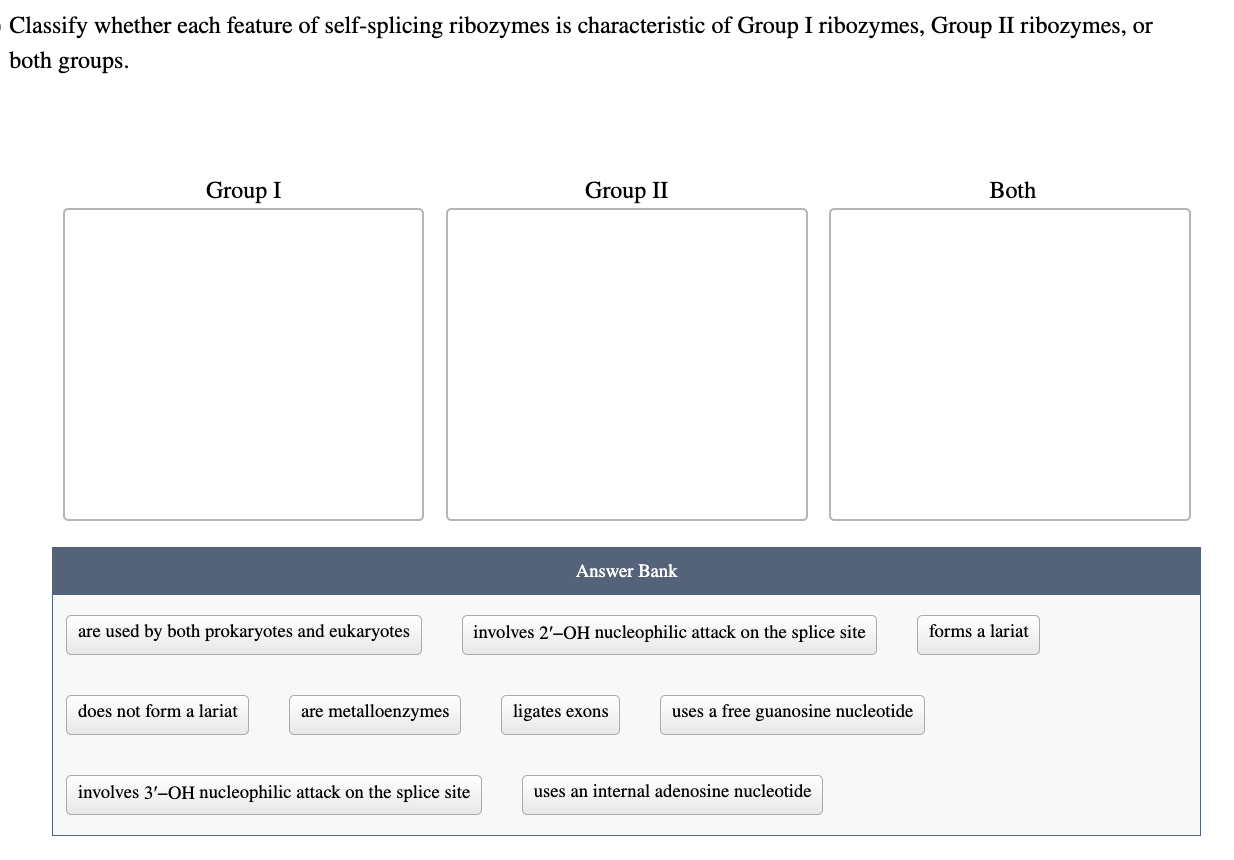 Solved Classify whether each feature of self-splicing | Chegg.com