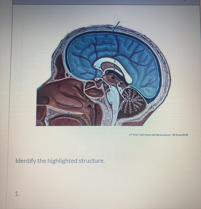Solved PUASA LT C14 SL Health care 36 B D Identify the | Chegg.com