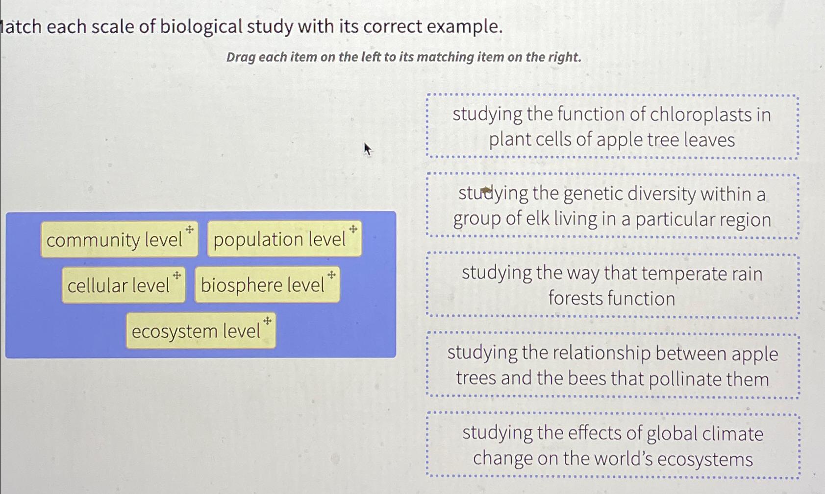 Solved latch each scale of biological study with its correct | Chegg.com