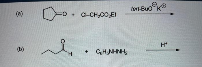 Solved tert-Buo k® (a) O + CH-CH2CO2Et H (b) + H C6H5NHNH2 | Chegg.com