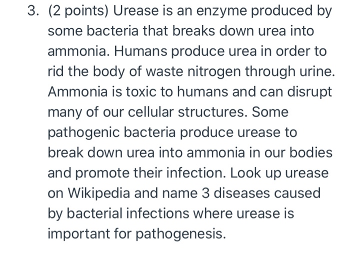 Solved 3. (2 points) Urease is an enzyme produced by some | Chegg.com