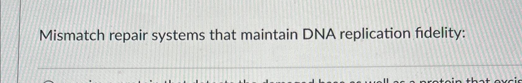 Solved Mismatch repair systems that maintain DNA replication | Chegg.com