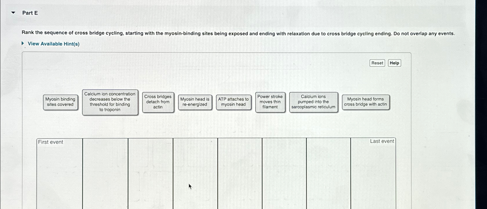 Solved Part ERank the sequence of cross bridge cycling, | Chegg.com