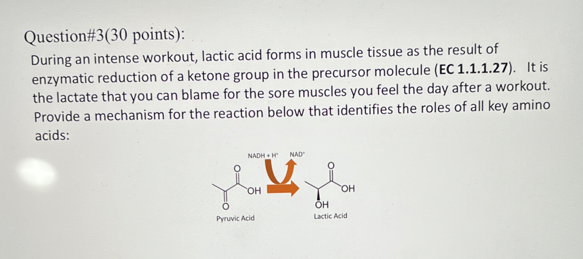 Solved Question#3(30 ﻿points):During an intense workout, | Chegg.com