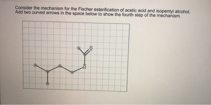 Solved Consider the mechanism for the Fischer esterification | Chegg.com