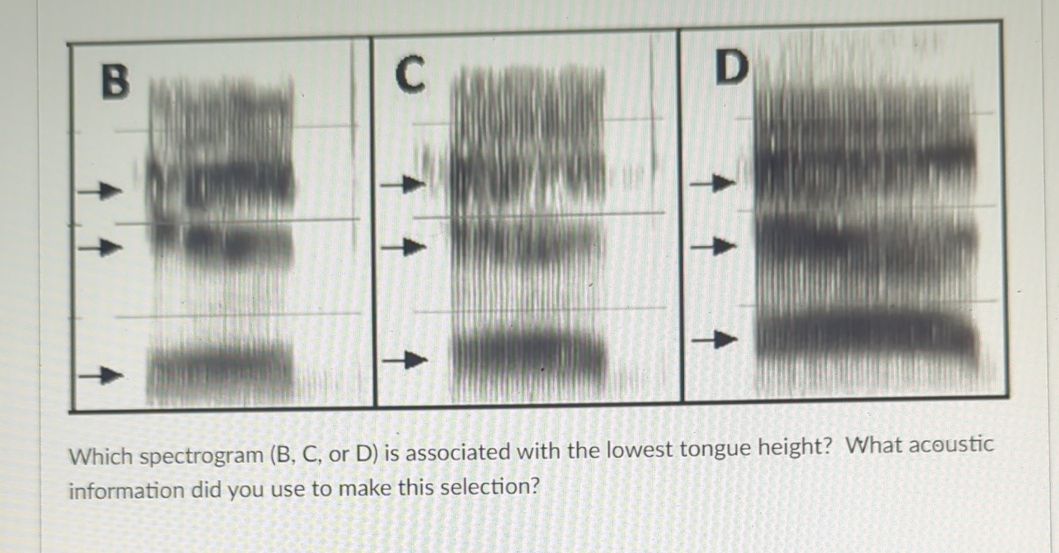 Solved Which spectrogram ( B,C, ﻿or D ) ﻿is associated with | Chegg.com