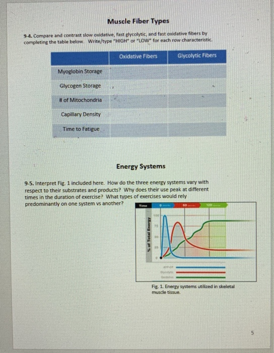 Solved Muscle Fiber Types 9-4. Compare and contrast slow | Chegg.com