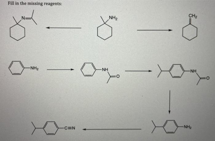 Solved Fill in the missing reagents: NH2 CH2 -NH2 NH -NH | Chegg.com