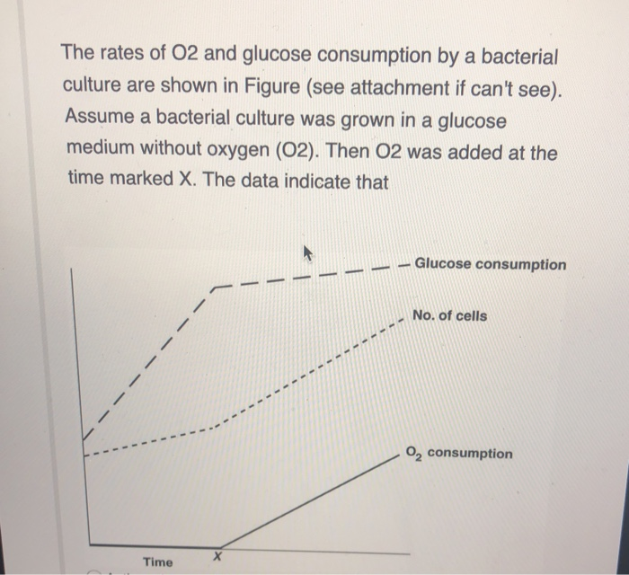 Solved The Rates Of O2 And Glucose Consumption By A