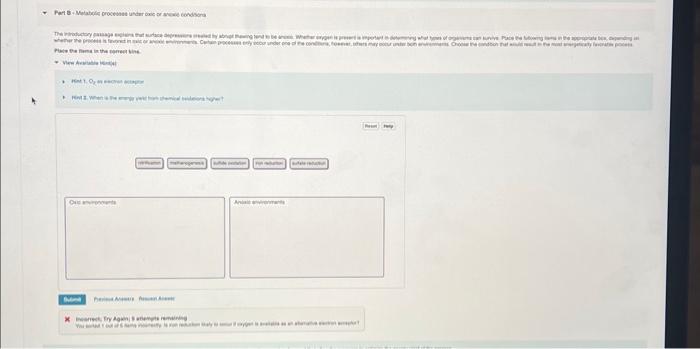 Solved Oxic environment vs Anoxic environment | Chegg.com