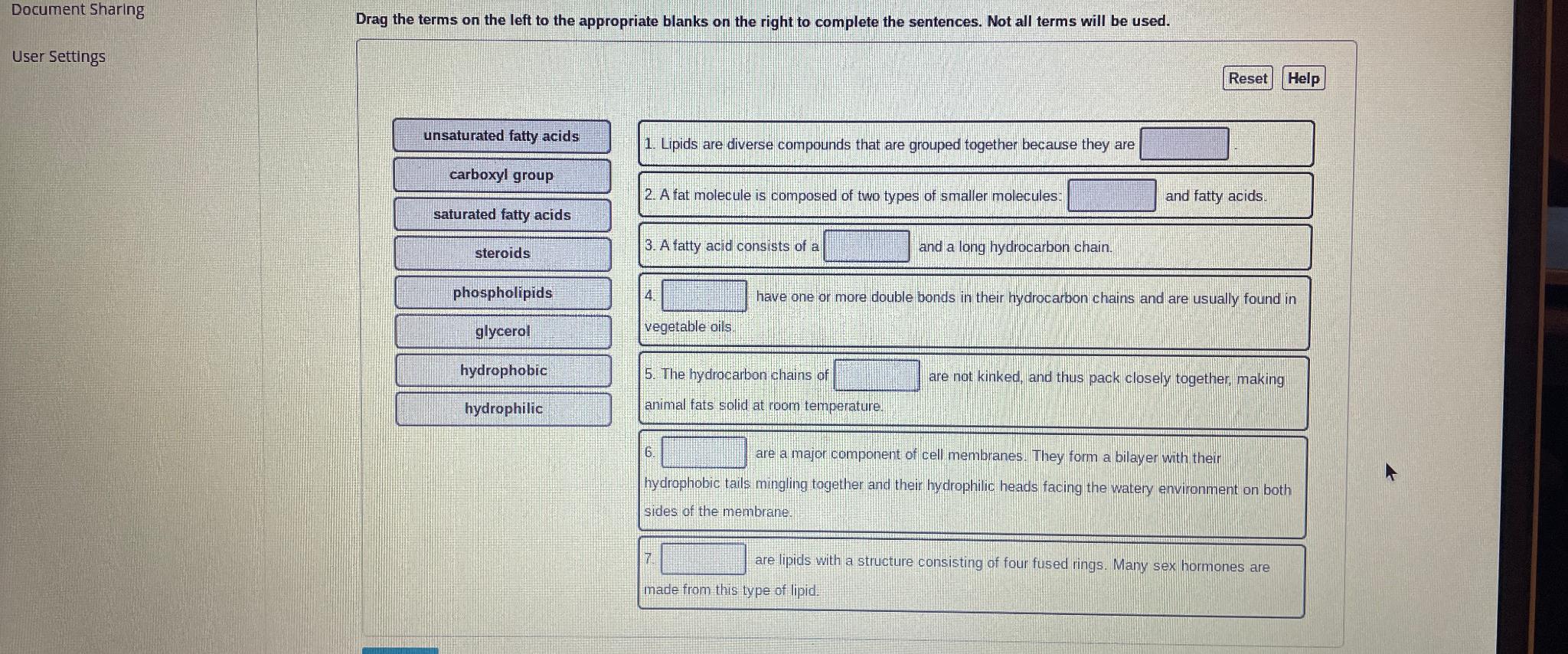 Solved Document SharingUser SettingsDrag the terms on the | Chegg.com