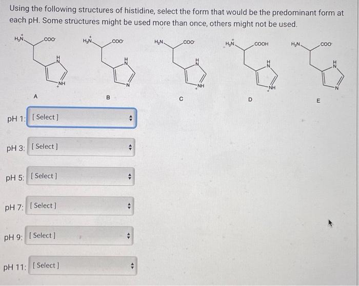 Solved Using the following structures of histidine, select | Chegg.com