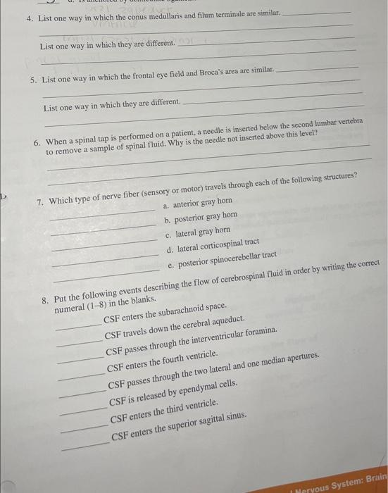 Solved 4. List one way in which the conus medullaris and | Chegg.com