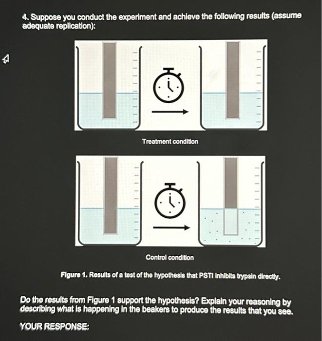Solved 4 Suppose You Conduct The Experiment And Achieve The