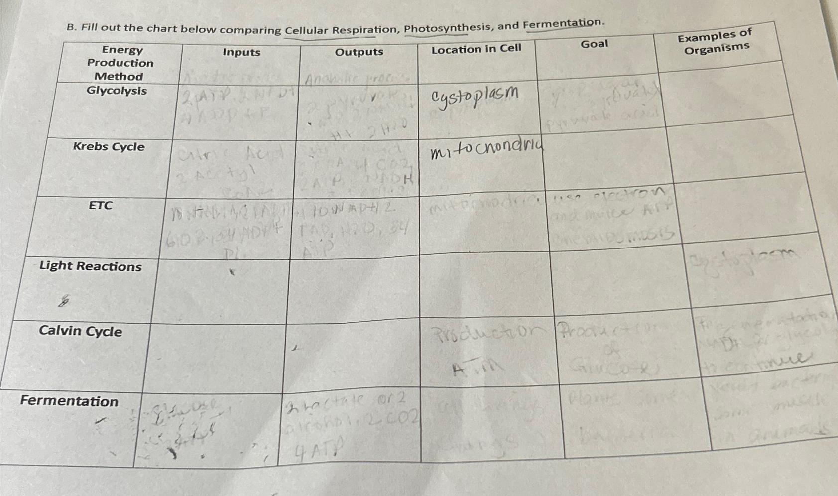 Solved B. ﻿Fill out the chart below comparing Cellular | Chegg.com