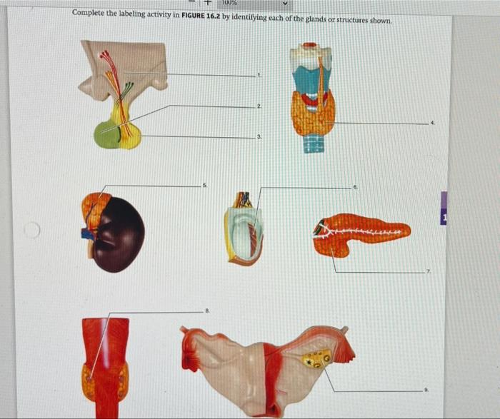 Solved the corresponding pre-lab assignment for each | Chegg.com