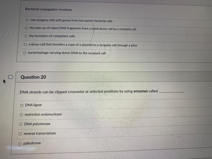 Solved Bacterial conjugation involves O new progeny cells | Chegg.com