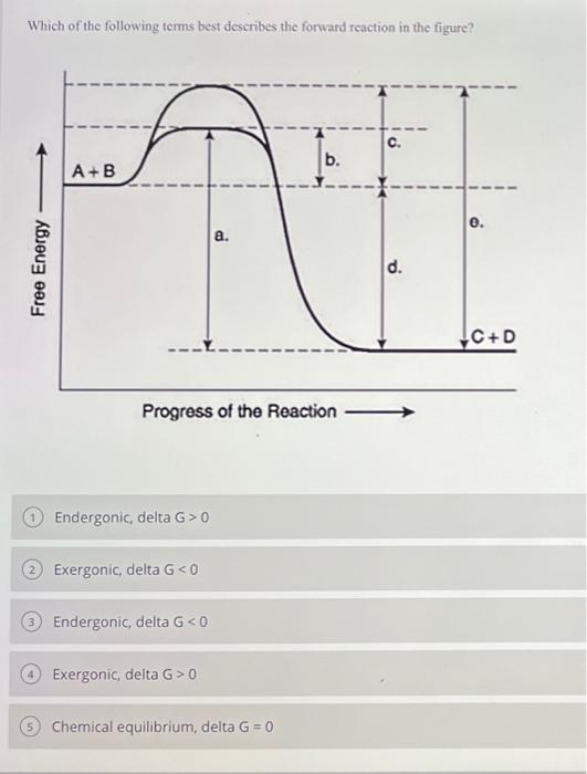 Solved Which of the following terms best describes the | Chegg.com