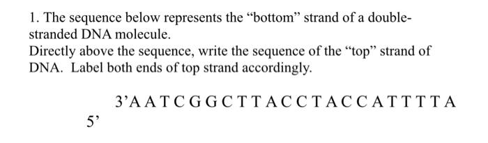 Solved 1. The sequence below represents the "bottom" strand | Chegg.com