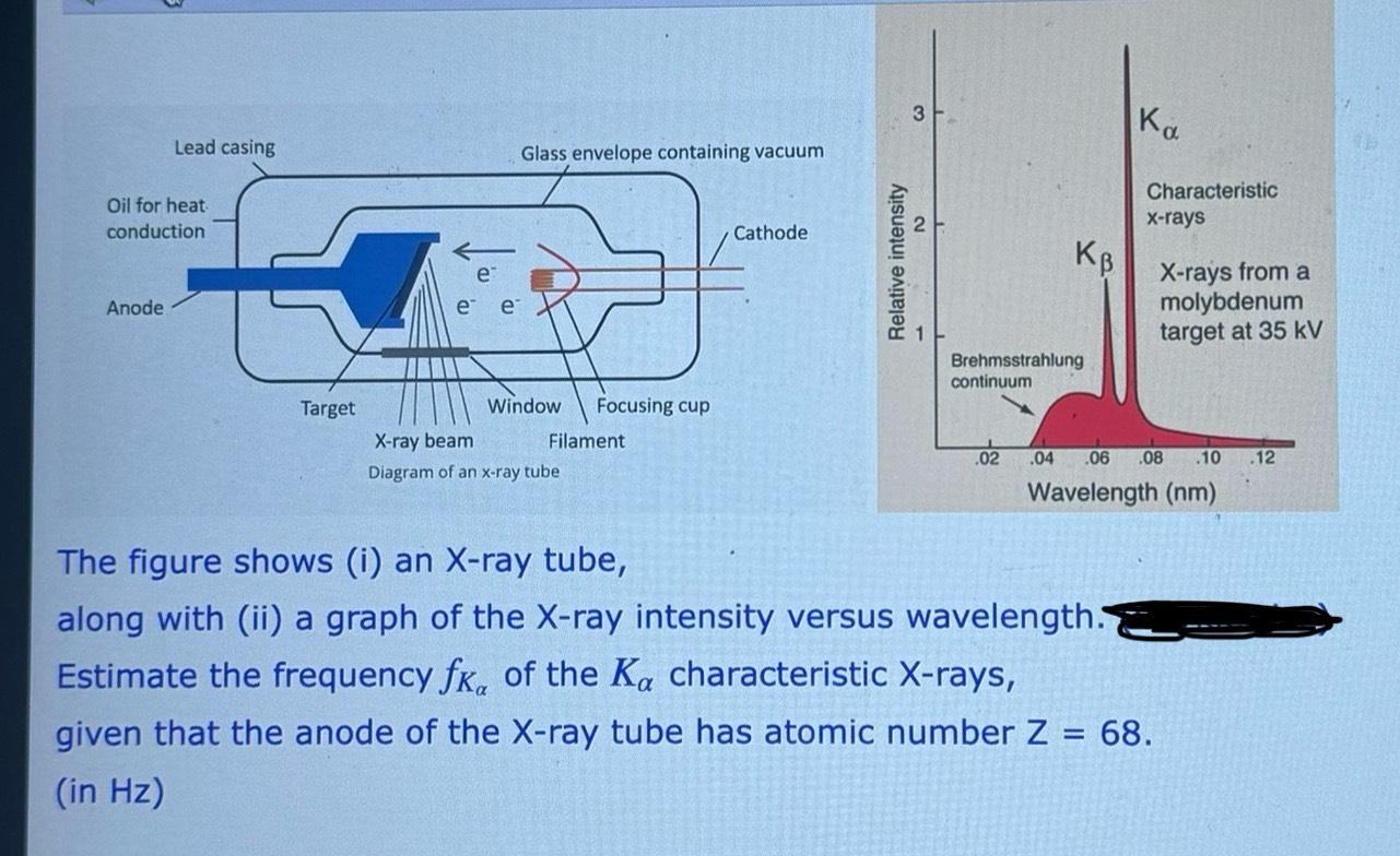 Solved The figure shows (i) ﻿an X-ray tube, along with (ii) | Chegg.com