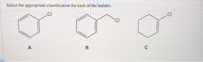 Solved Select the appropriate classification for each of the | Chegg.com