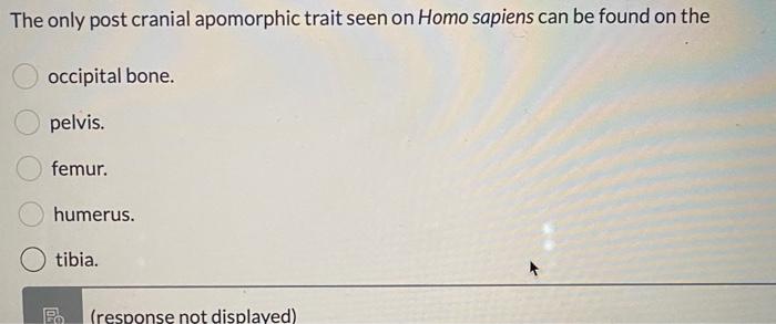 The only post cranial apomorphic trait seen on Homo | Chegg.com